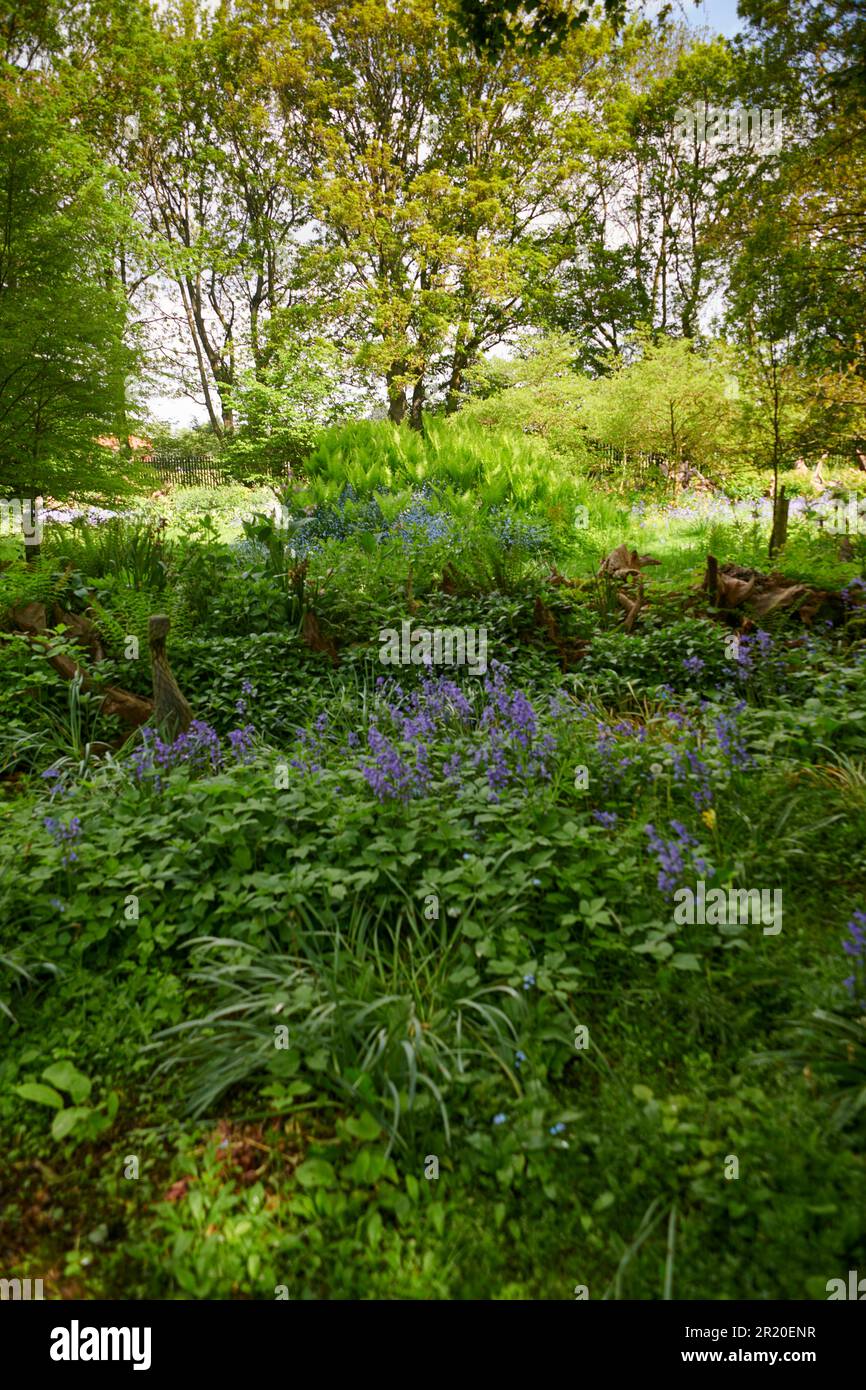 Burnby Hall Gardens in the springtime Stock Photo - Alamy