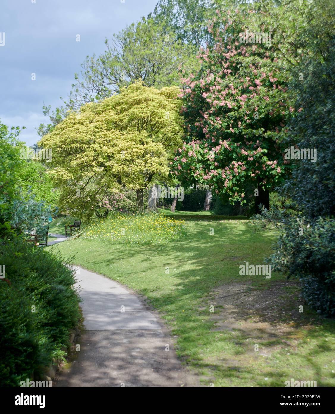 Burnby Hall Gardens in the springtime Stock Photo - Alamy