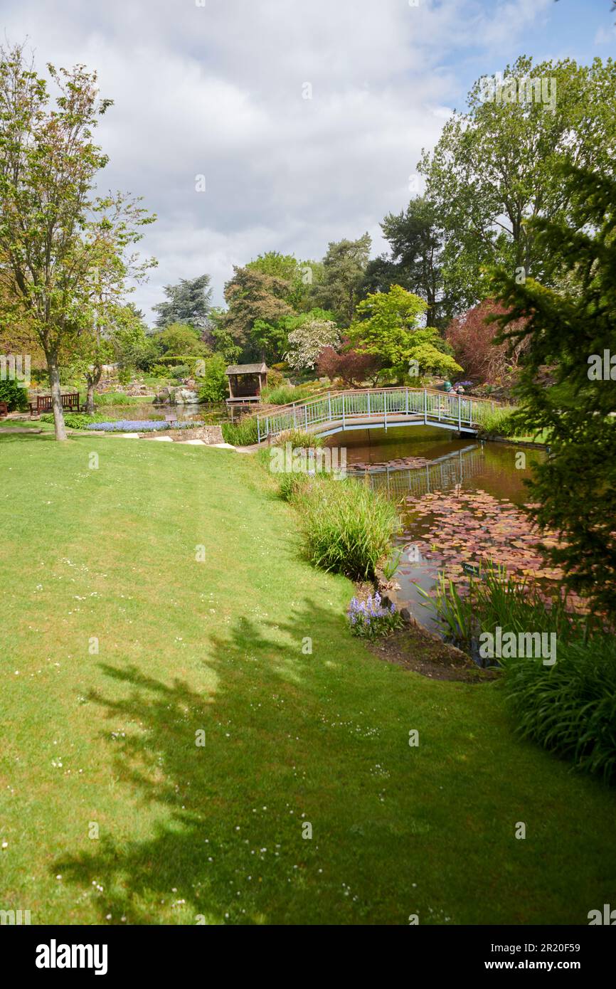 Burnby Hall Gardens in the springtime Stock Photo - Alamy