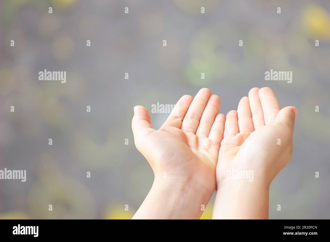 Hand open top view hi-res stock photography and images - Alamy