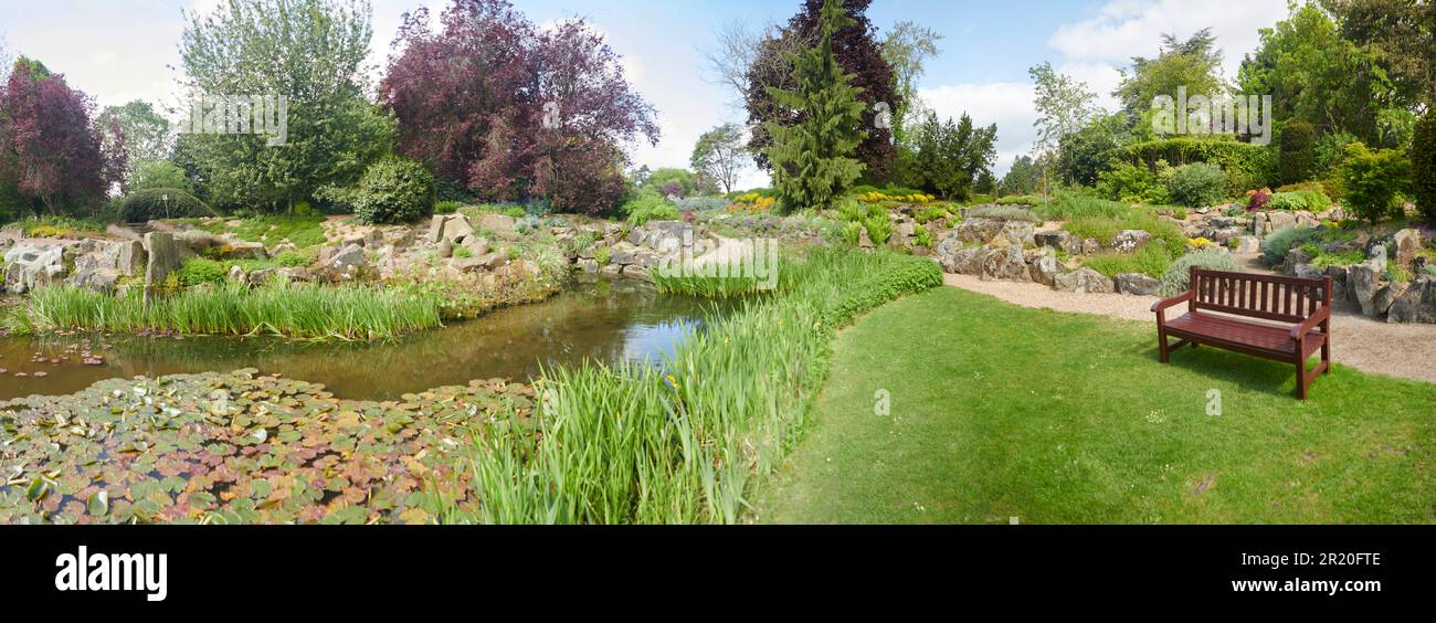 Large alpine rockery and water lily lake garden in the spring sunshine ...