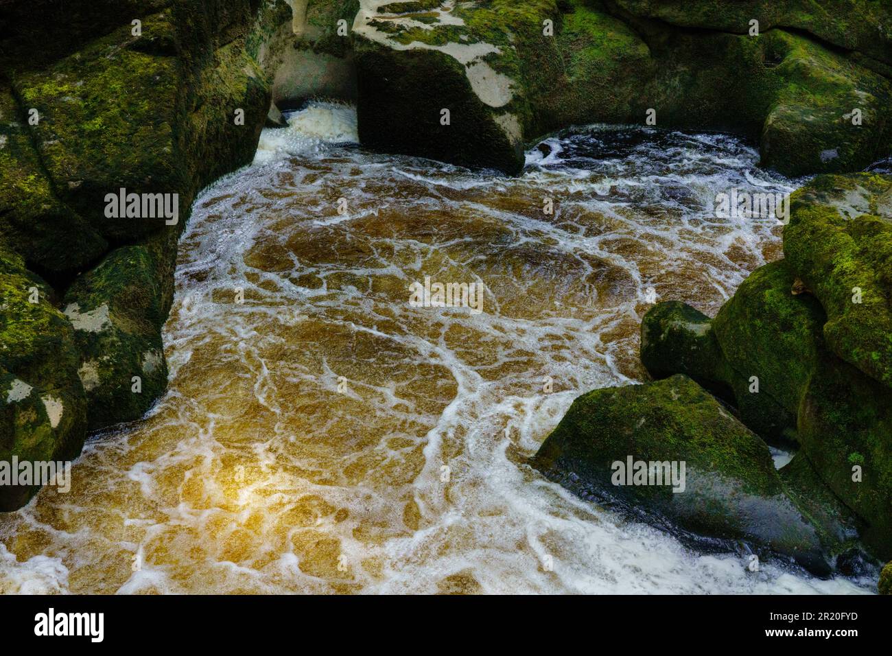 View downstream of The river Wharfe condenses into a narrow channel ...