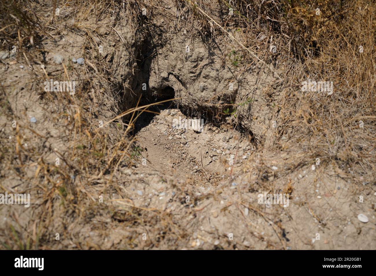 climate change lead to dryness and drought at high temperatures Stock ...