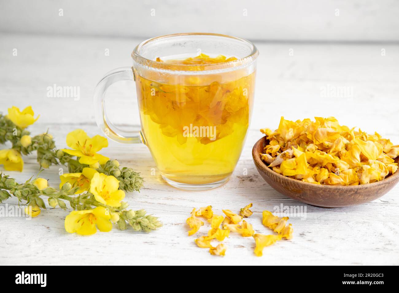 Herbal medicinal tea drink made of Verbascum thapsus, the great mullein ...