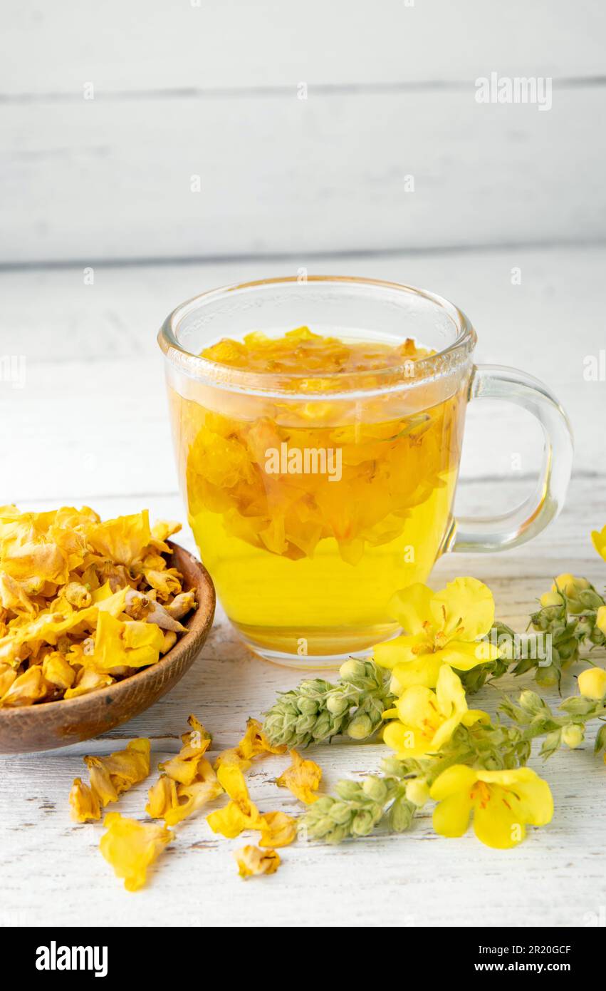 Herbal medicinal tea drink made of Verbascum thapsus, the great mullein ...