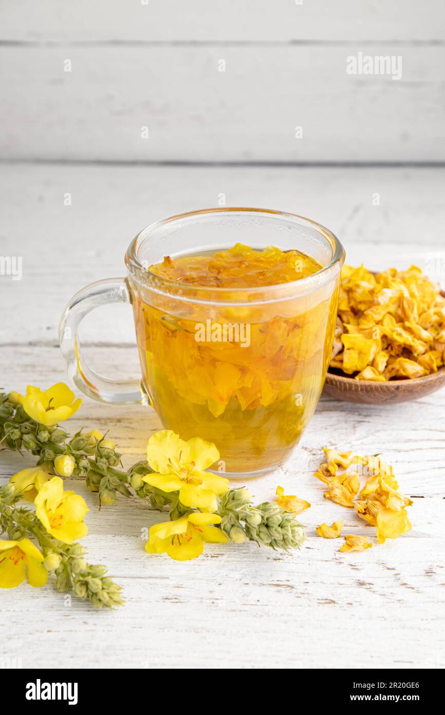 Herbal medicinal tea drink made of Verbascum thapsus, the great mullein ...