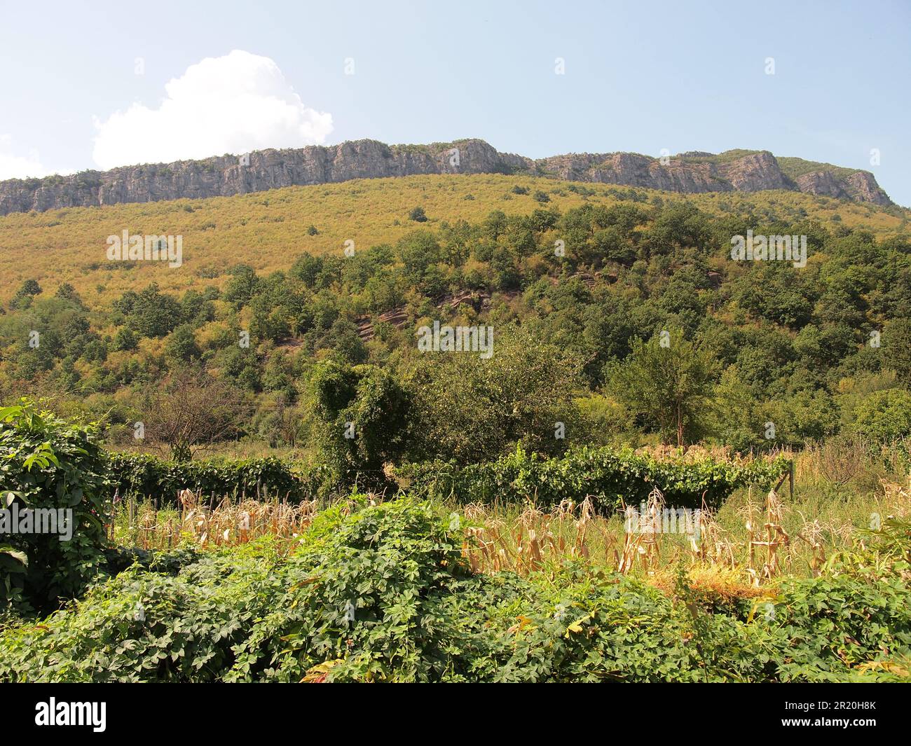 Belogradchik Rocks (Vidin Province, Bulgaria Stock Photo - Alamy