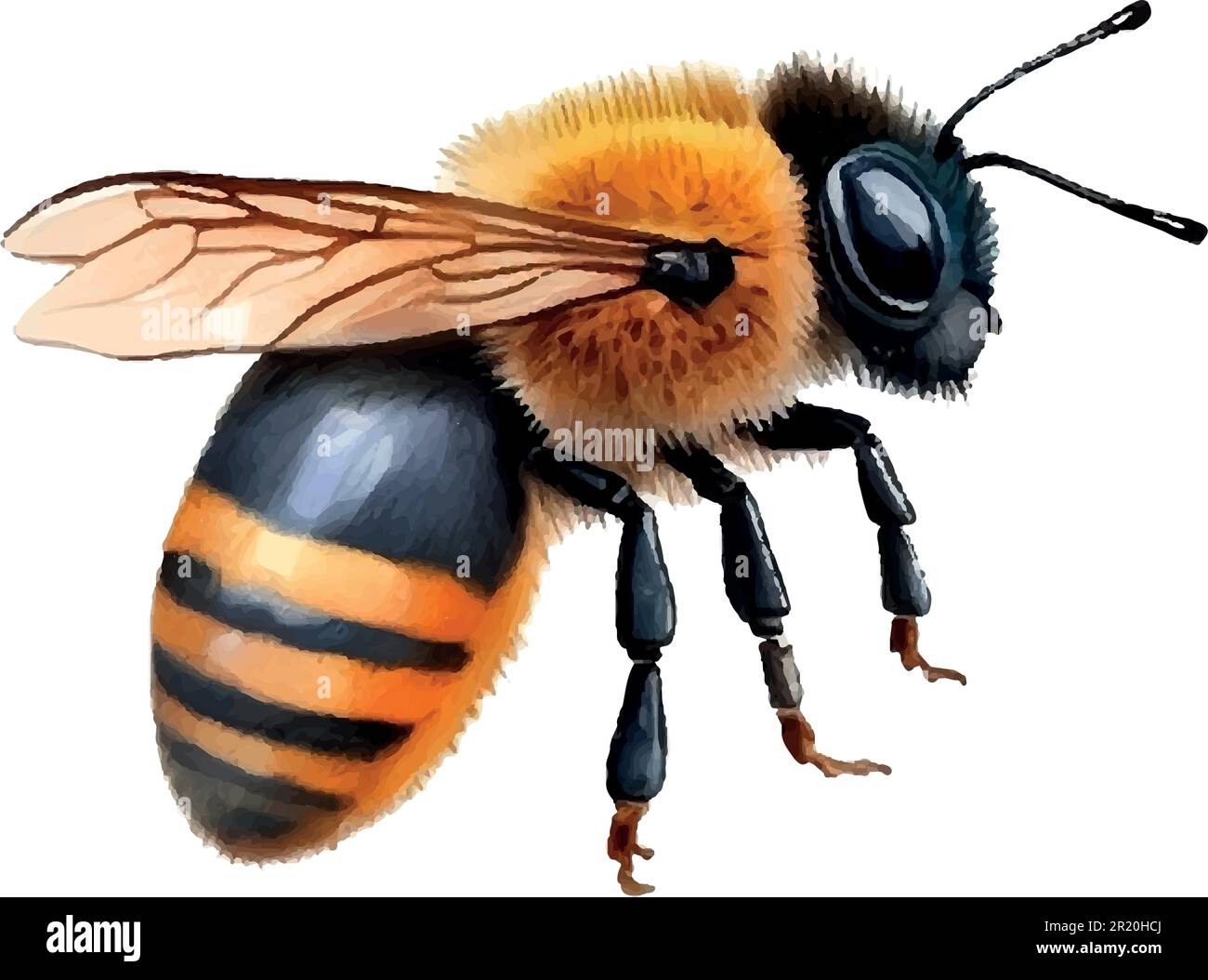 Colorful bee watercolor in beautiful style. Hand drawn vector ...