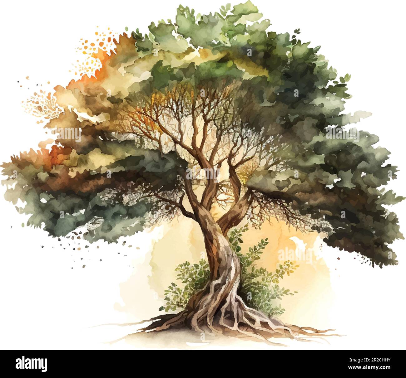 Bodhi Sacred Fig tree Watercolor Vector Illustration Stock Vector Image ...