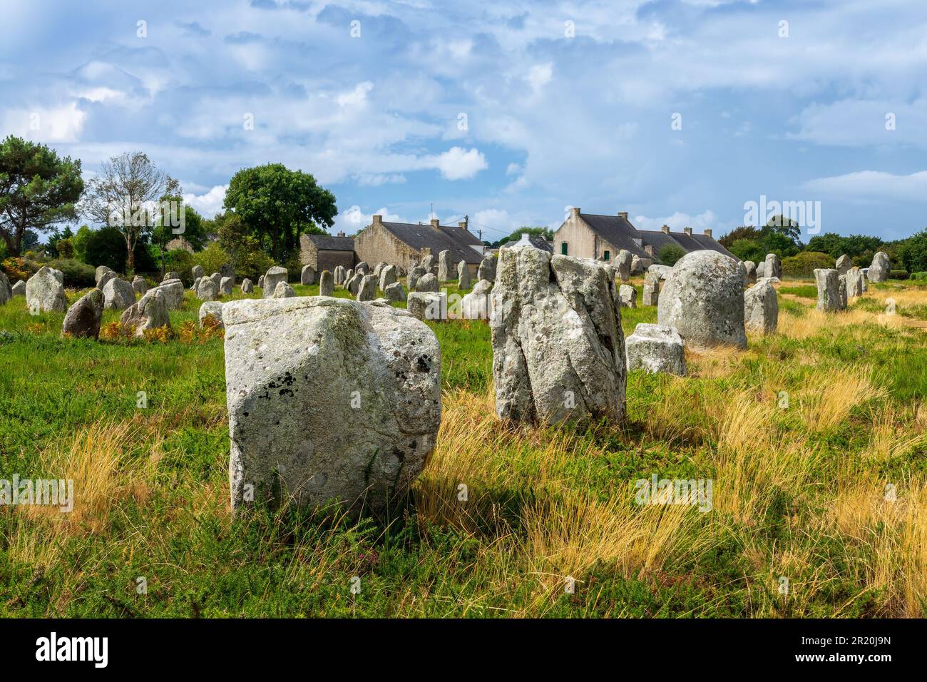 Standing stones (or menhirs) in the Menec alignment in Carnac, Morbihan ...