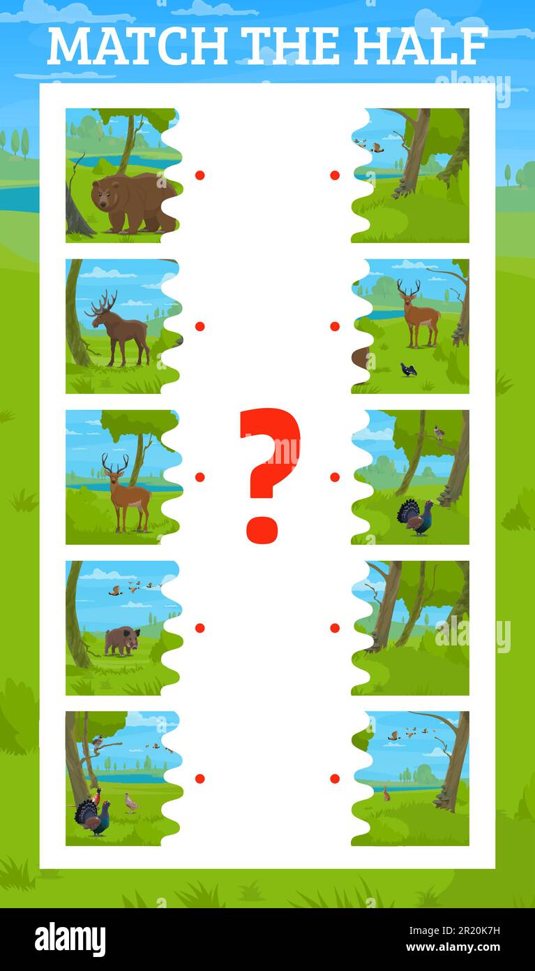 Match the half of cartoon hunting forest animals and birds. Kids vector ...