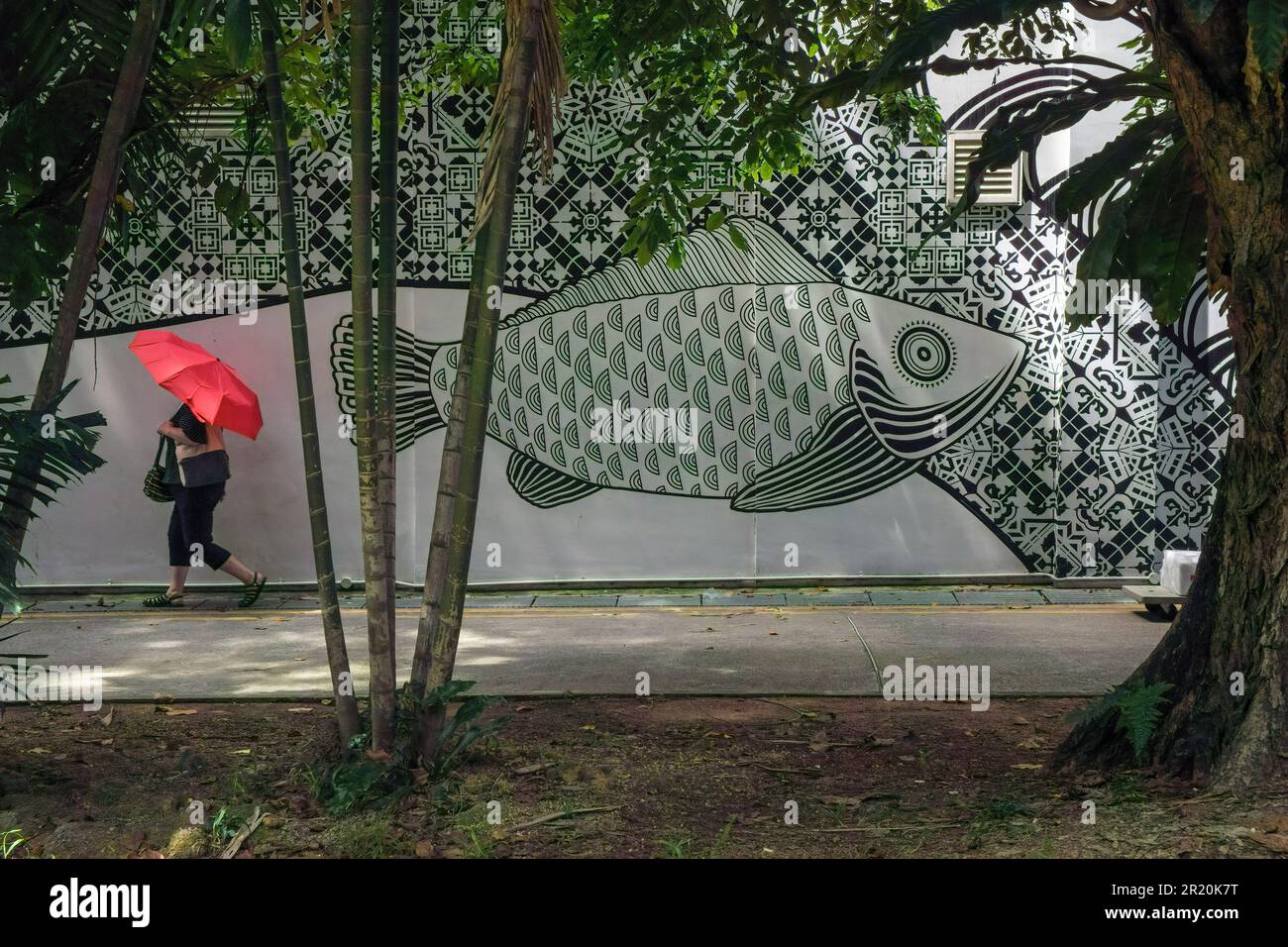 A woman carrying a red umbrella walks past a mural of a fish in ...