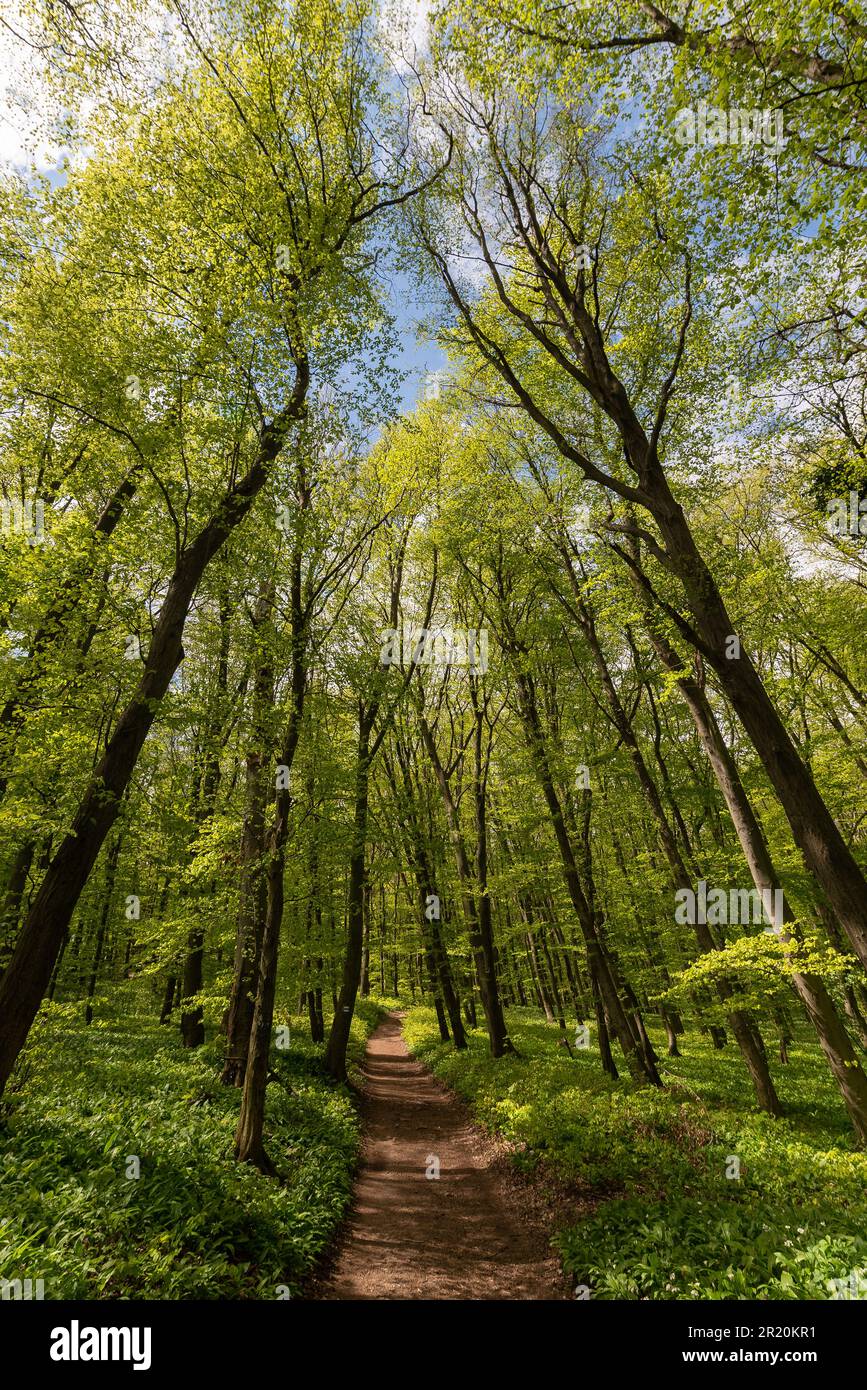Wide wiev hi-res stock photography and images - Alamy