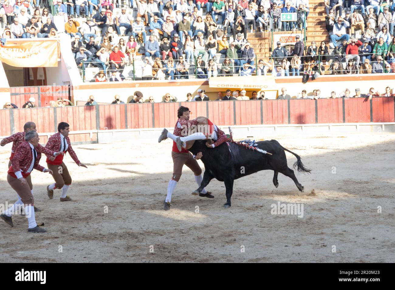 March 26, 2023 Lisbon, Portugal: Tourada - the battle of the forcado ...