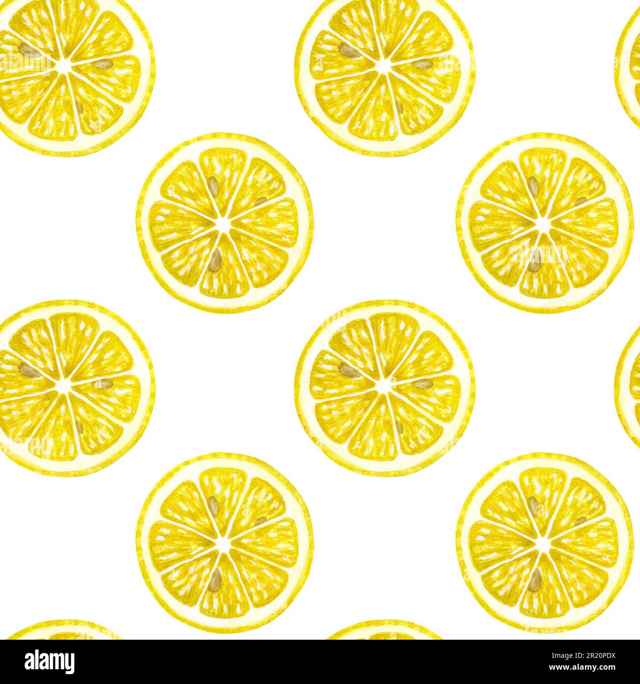 Lemon round slice citrus. Seamless endless pattern. Hand drawn ...