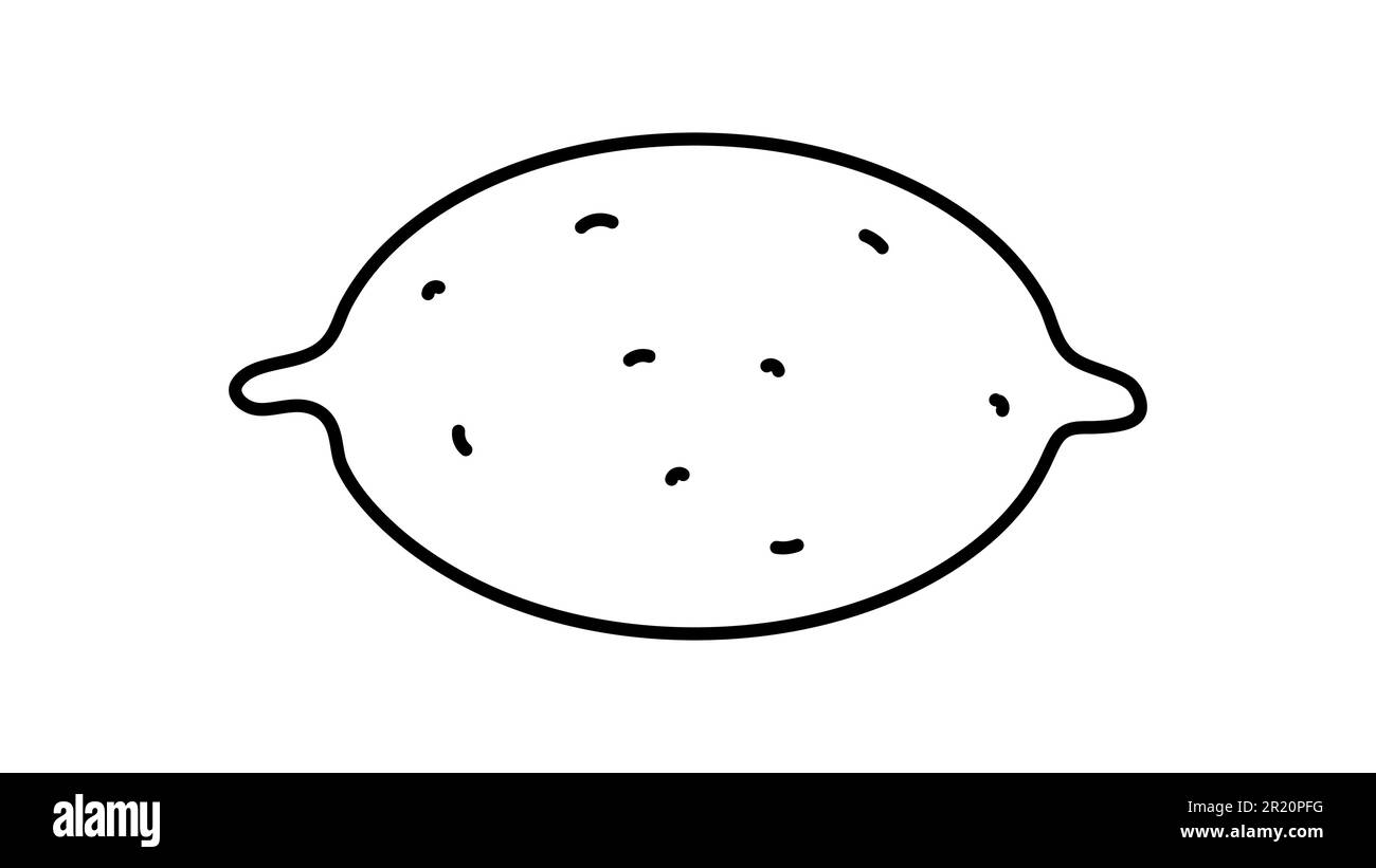 Lemon sketch. Hand drawn fruit illustration isolated on white ...