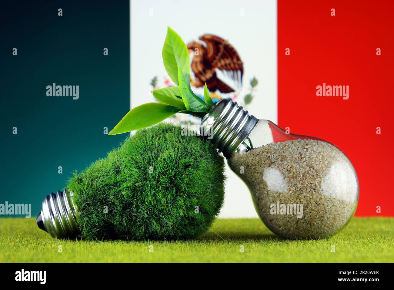Green eco light bulb with grass, plant growing inside the light bulb ...