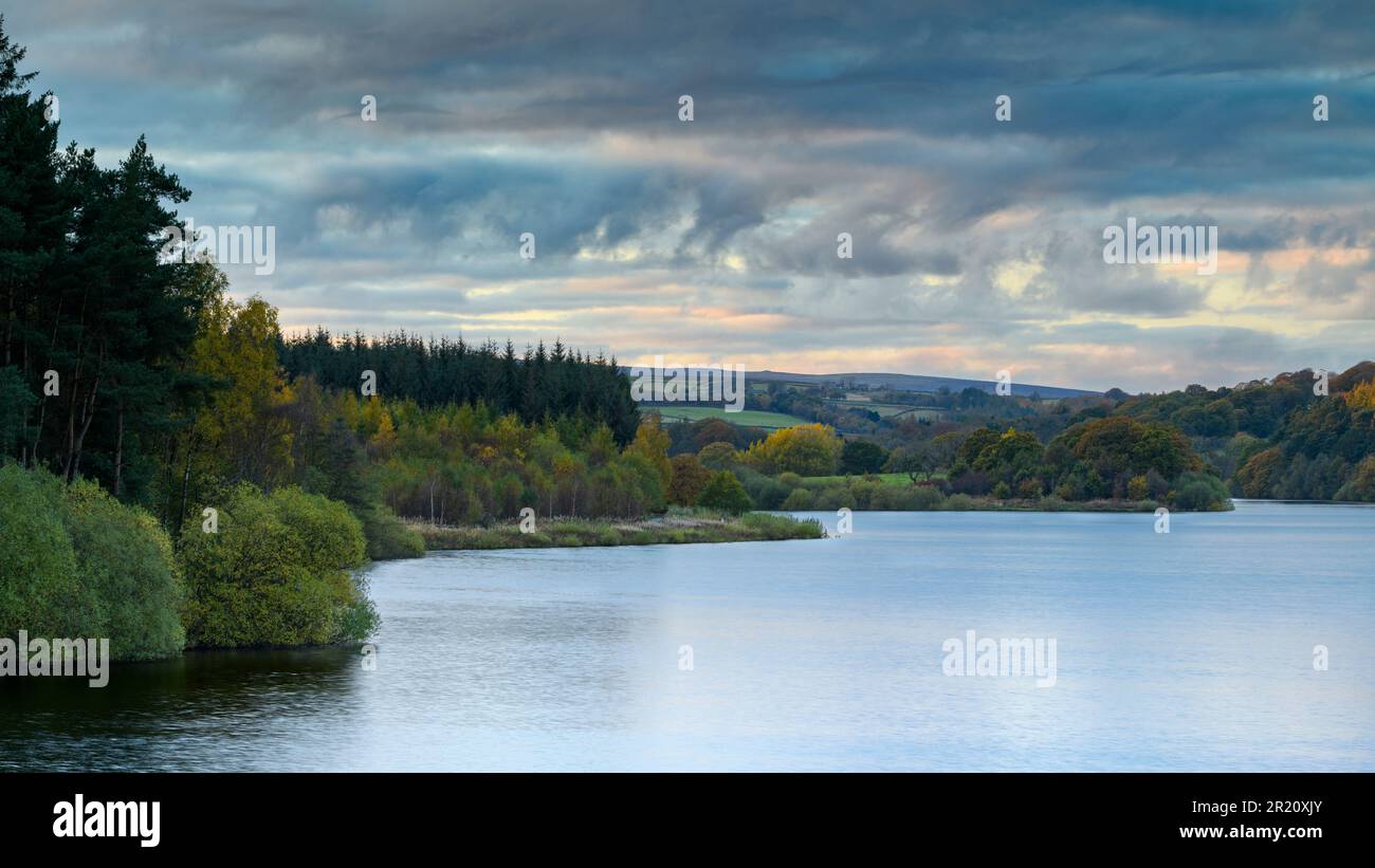 Scenic rural sunset over still calm water (forest plantation, autumn ...