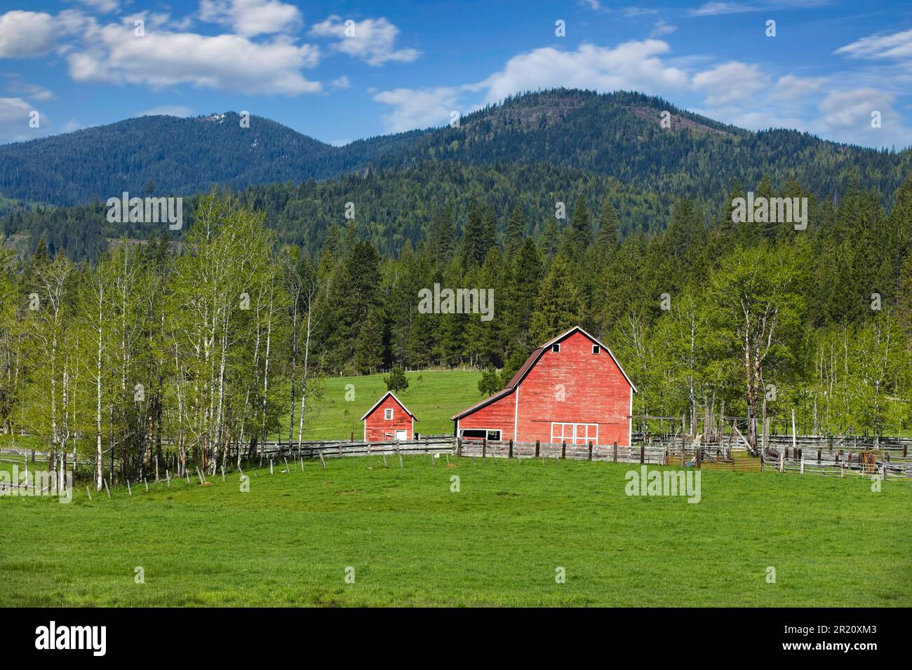 An older bright red barn in good condition stands in a rich green ...