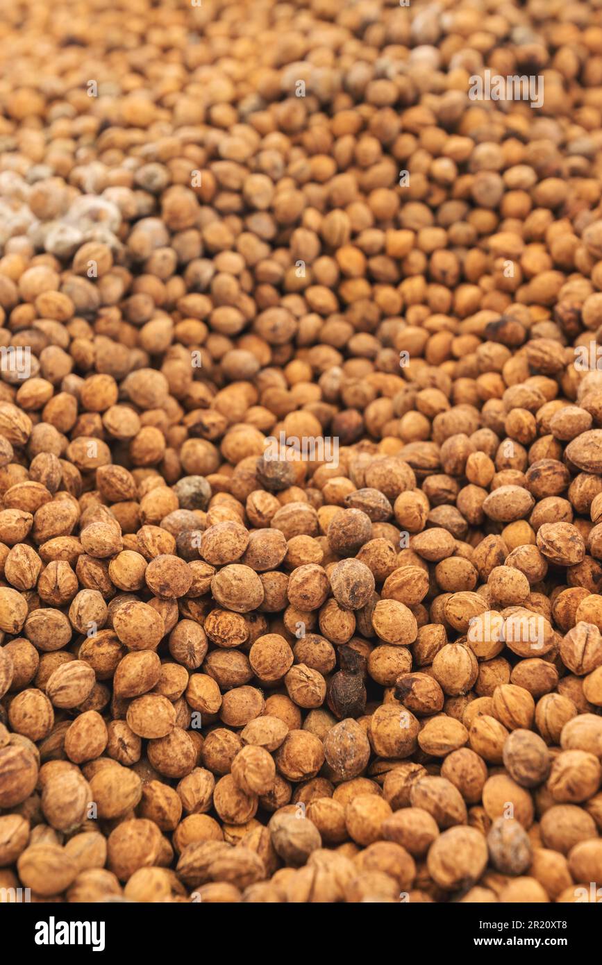 Pile of dry cherry pit or kernels, close up Stock Photo - Alamy