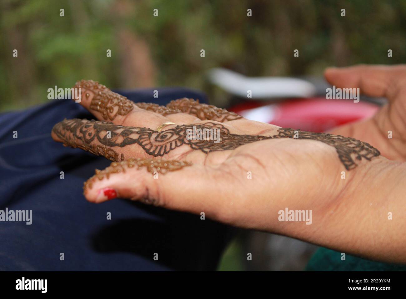 Indian Teenage Girl Applying Heena Tatoo On Woman's Hand Stock Photo ...