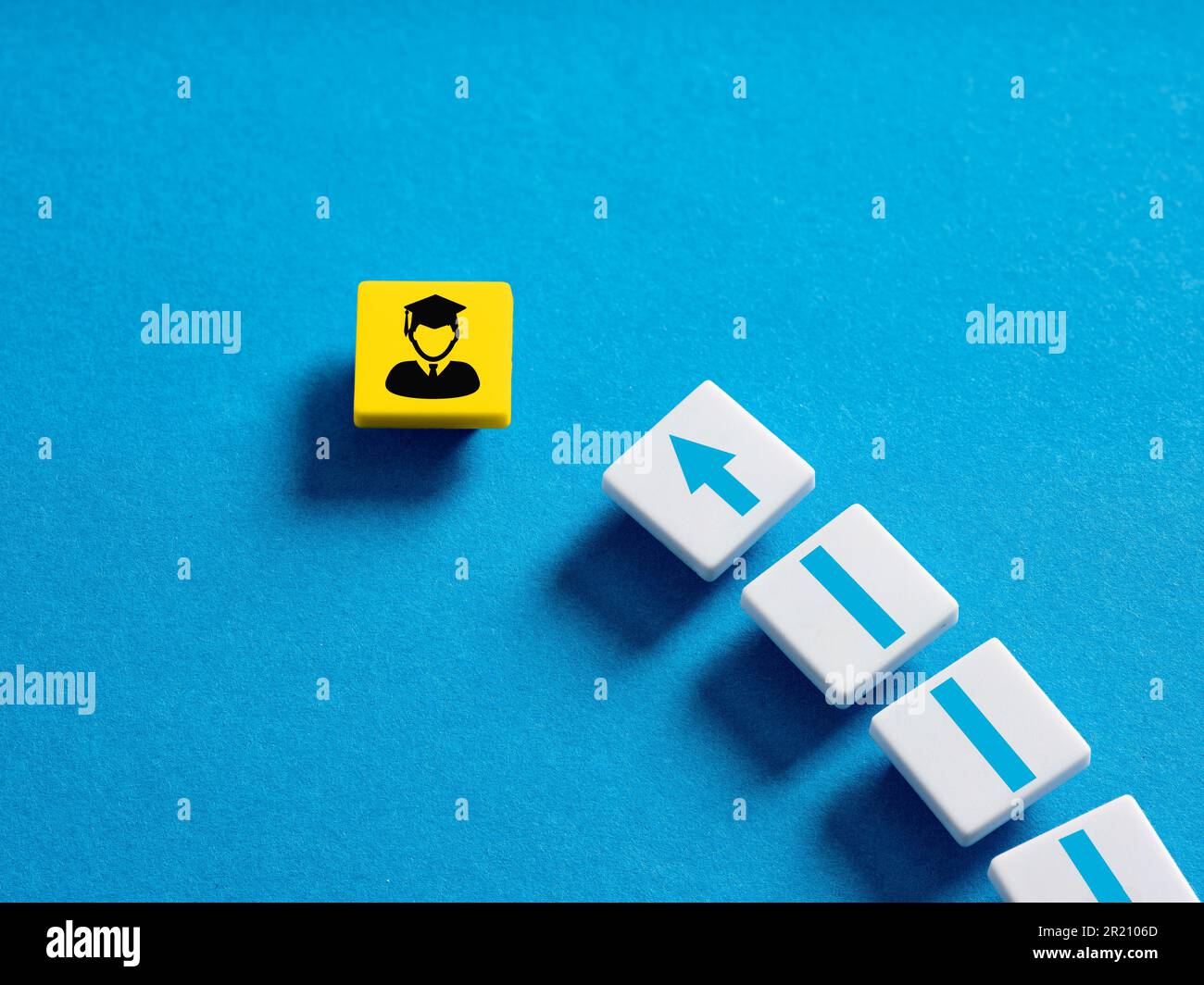 Graduation, academic degree achievement and educational goals. The way ...