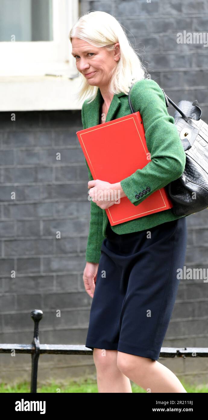 Amanda Milling, Party Chairman and minister without portfolio, arrives ...