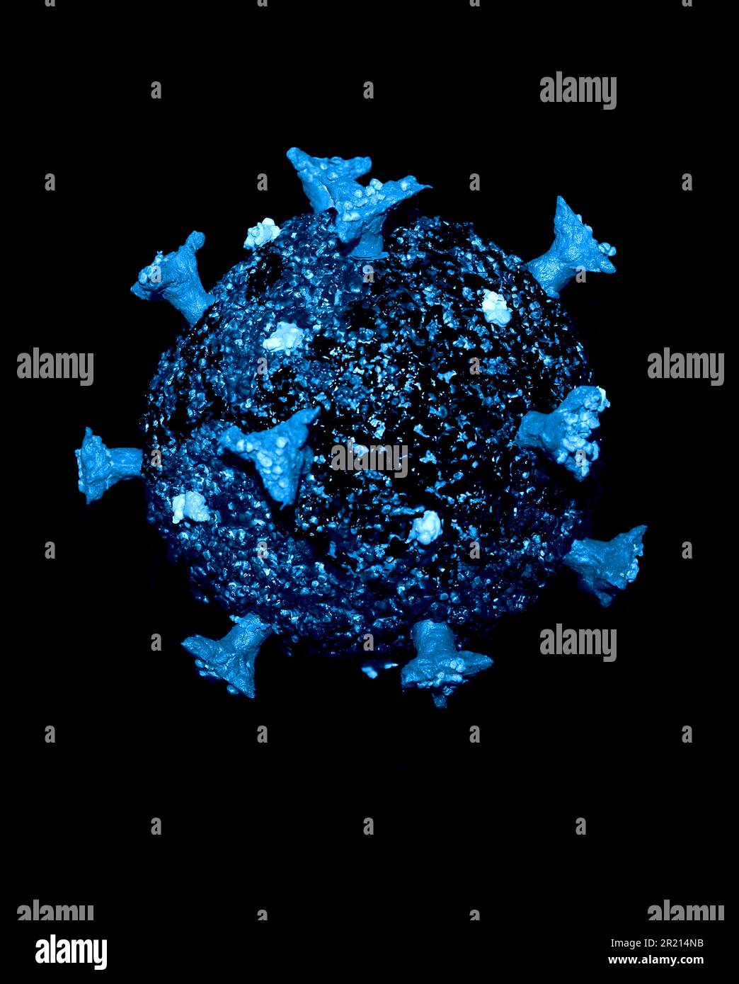 A model of the SARS-CoV-2 coronavirus that causes the COVID-19 disease ...