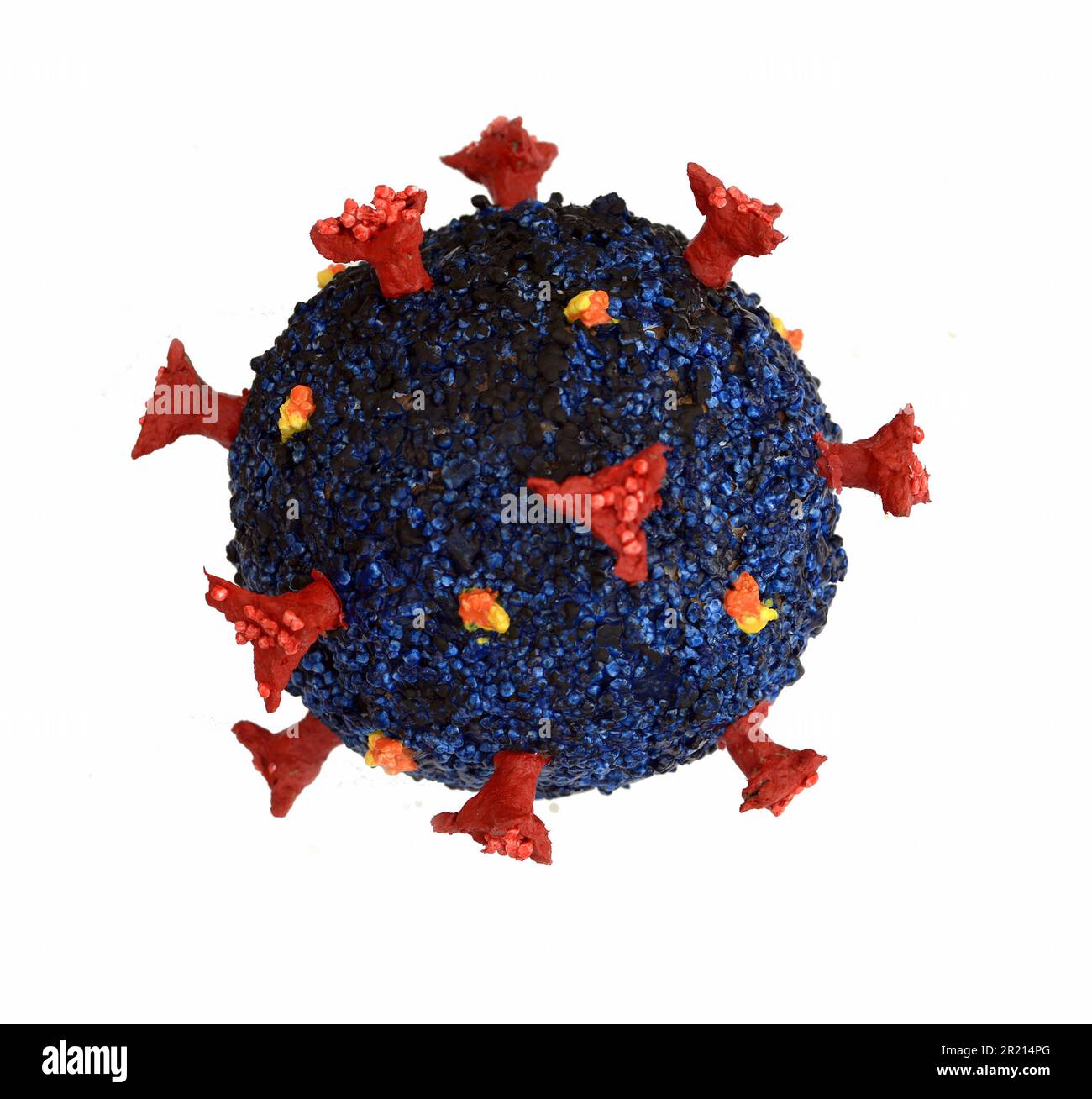 A model of the SARS-CoV-2 coronavirus that causes the COVID-19 disease ...