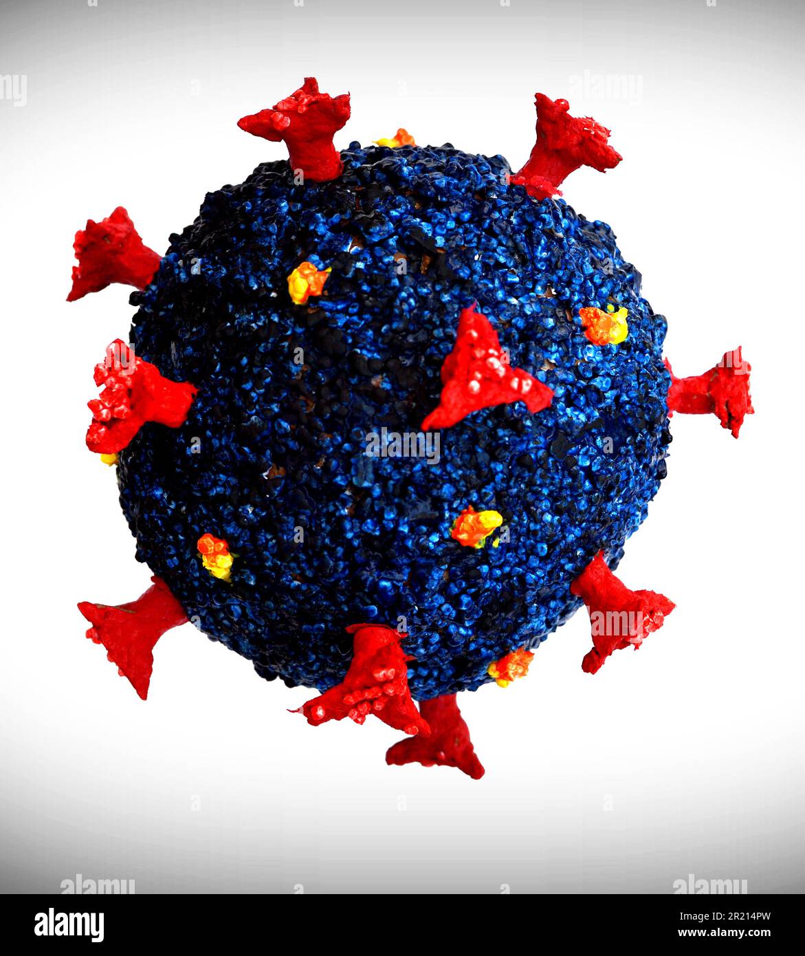 A model of the SARS-CoV-2 coronavirus that causes the COVID-19 disease ...