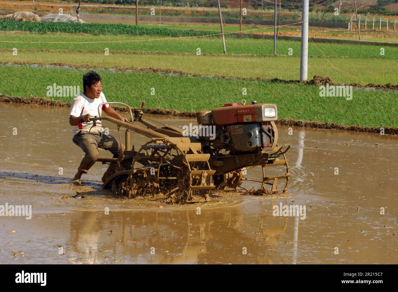 Peasants farming in paddy fields on the outskirts of Kaiyuan, Yunnan ...