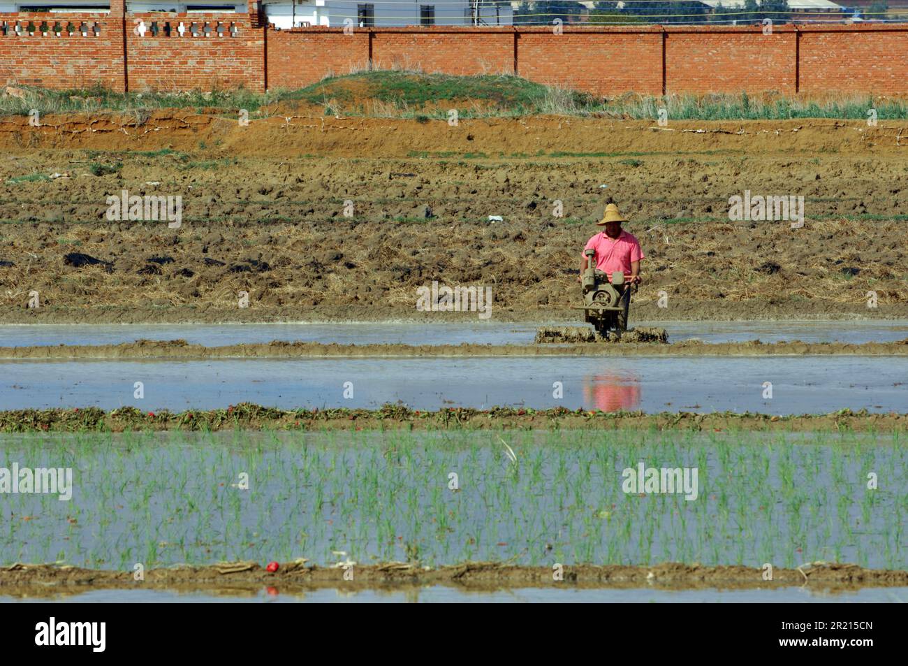 Peasants farming in paddy fields on the outskirts of Kaiyuan, Yunnan ...