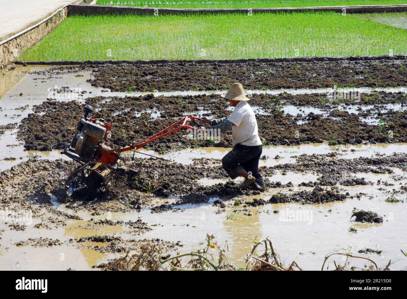 Peasant farming on the outskirts of Kaiyuan, Yunnan, China Stock Photo ...