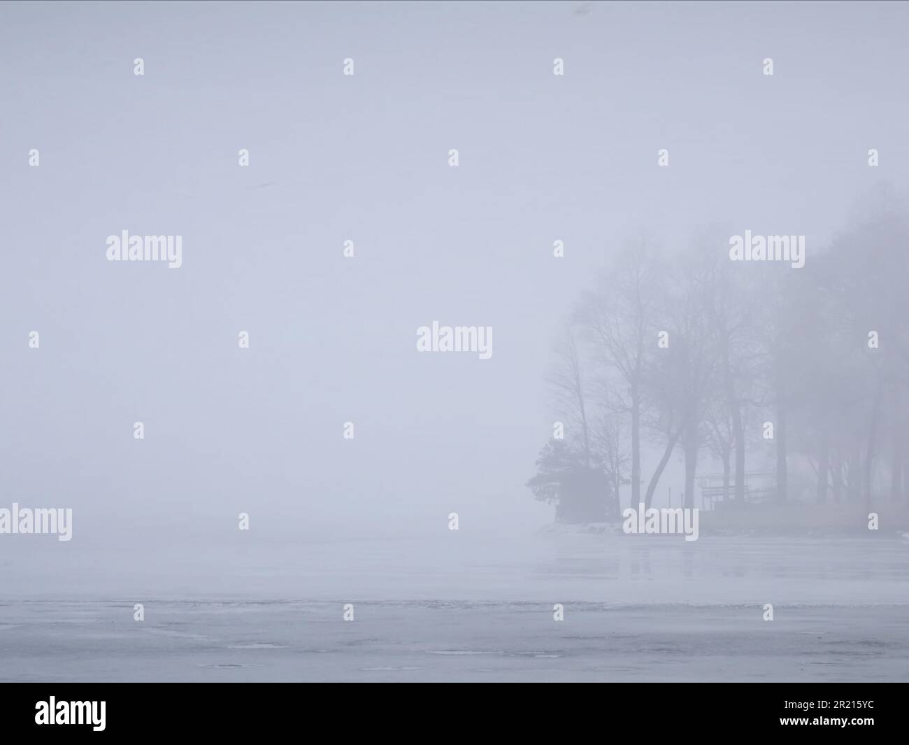 Graphic resource template of trees seen through the morning fog Stock ...