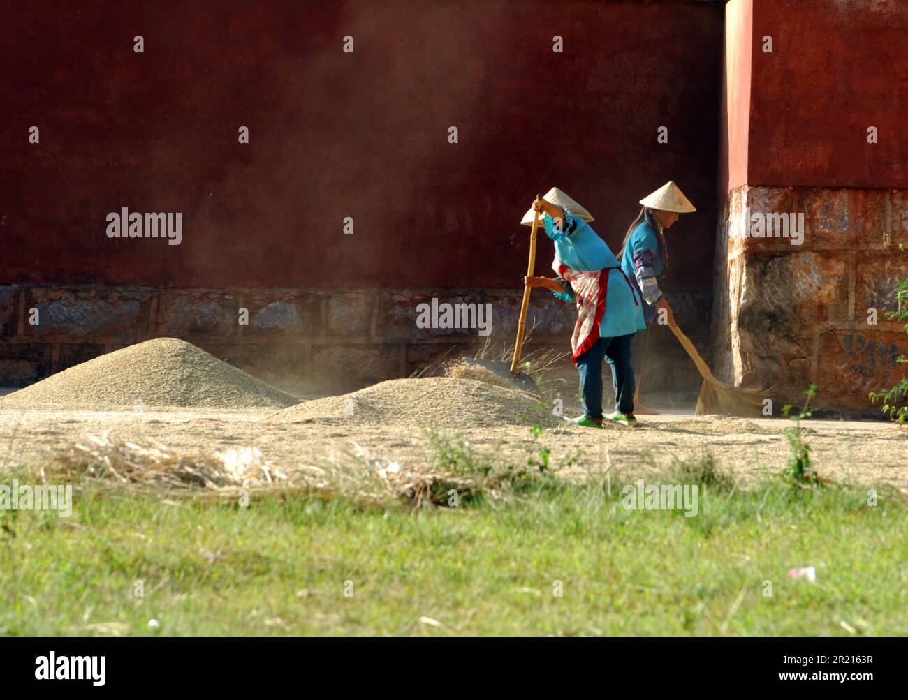Peasants harvest rice crops near Puzhehei, Yunnan, China, spreading out ...