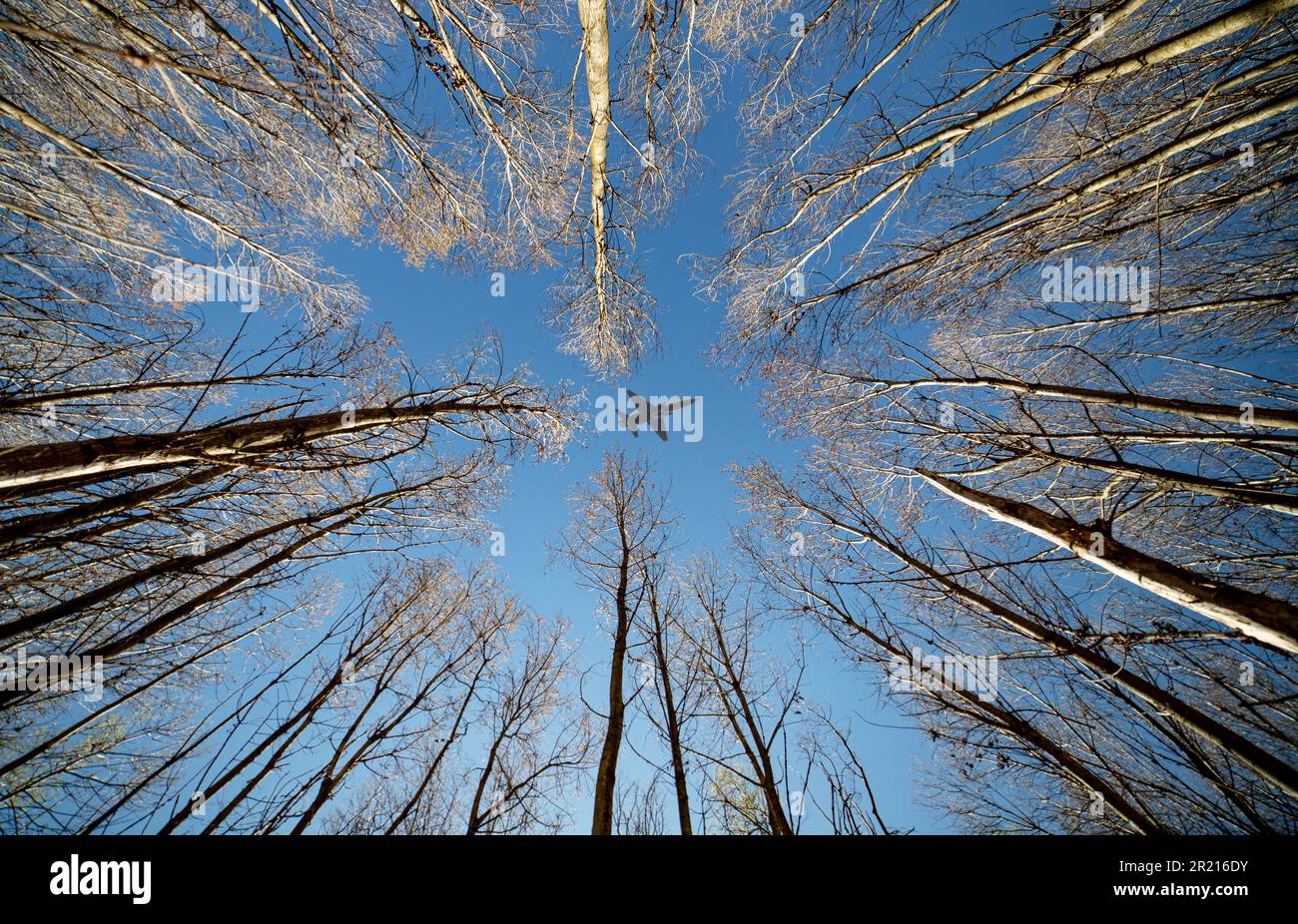 Aircraft flying over forest hi-res stock photography and images - Alamy
