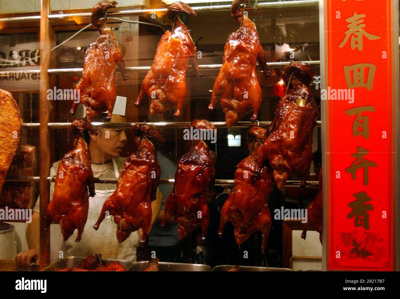 Chinese New Year - Year of the Pig. Celebrations in London; Chinese New ...