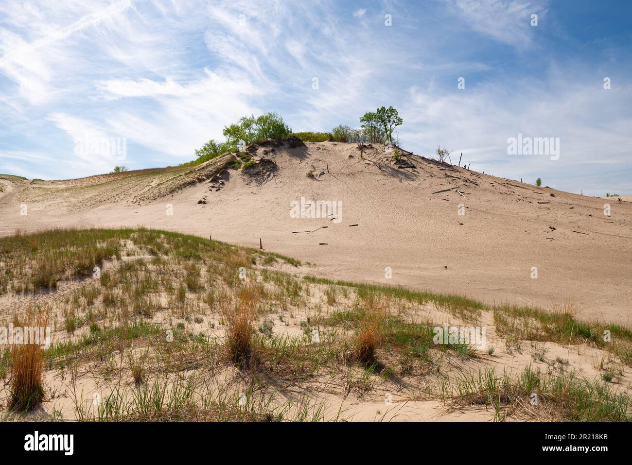 Sand dunes and Spring landscape on a sunny morning. Warren Dunes State ...