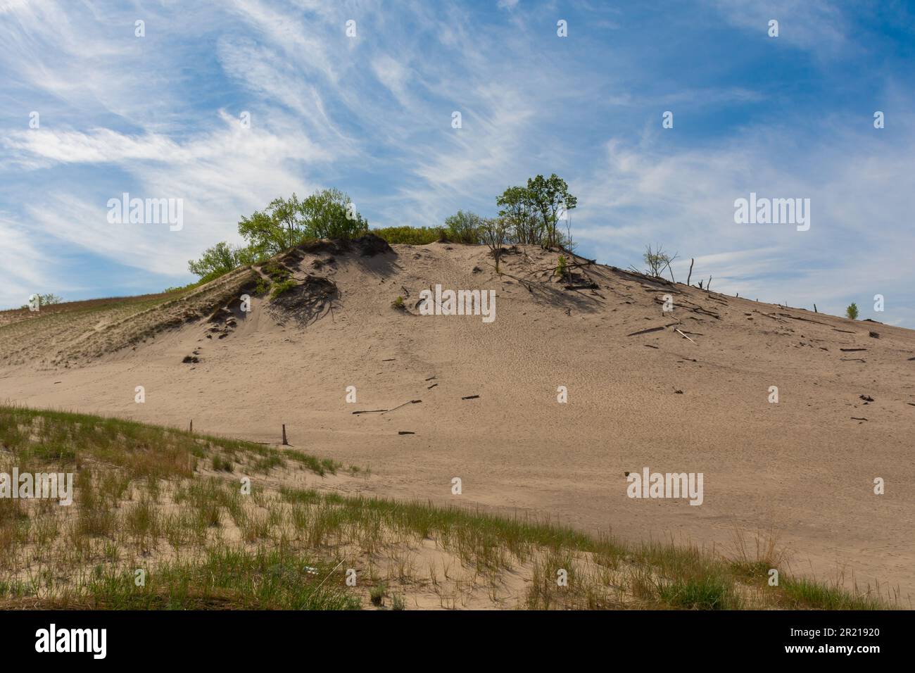 Dunes state park hi-res stock photography and images - Alamy