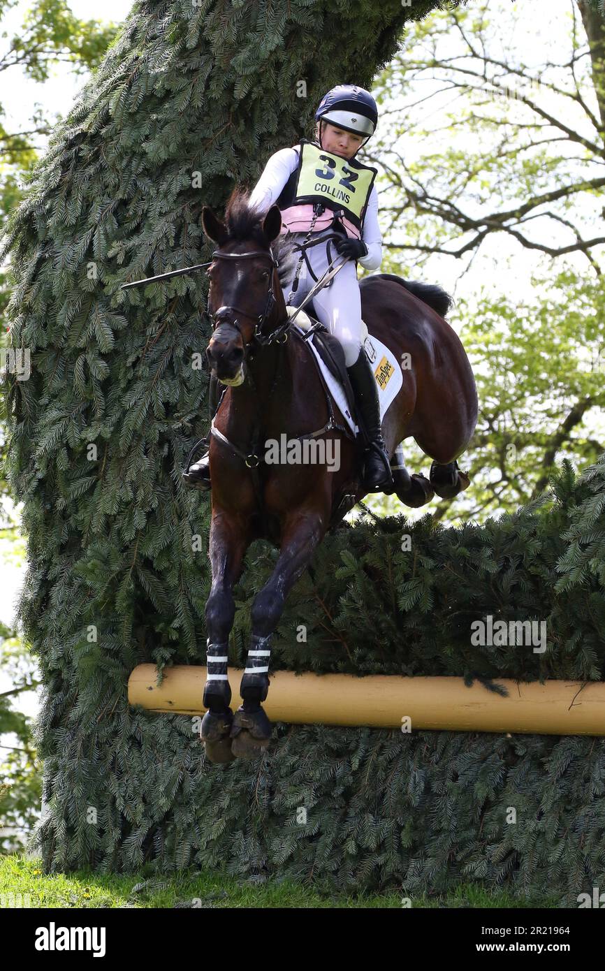 Felicity Collins from Great Britain riding RSH Contend OR in the Cross ...