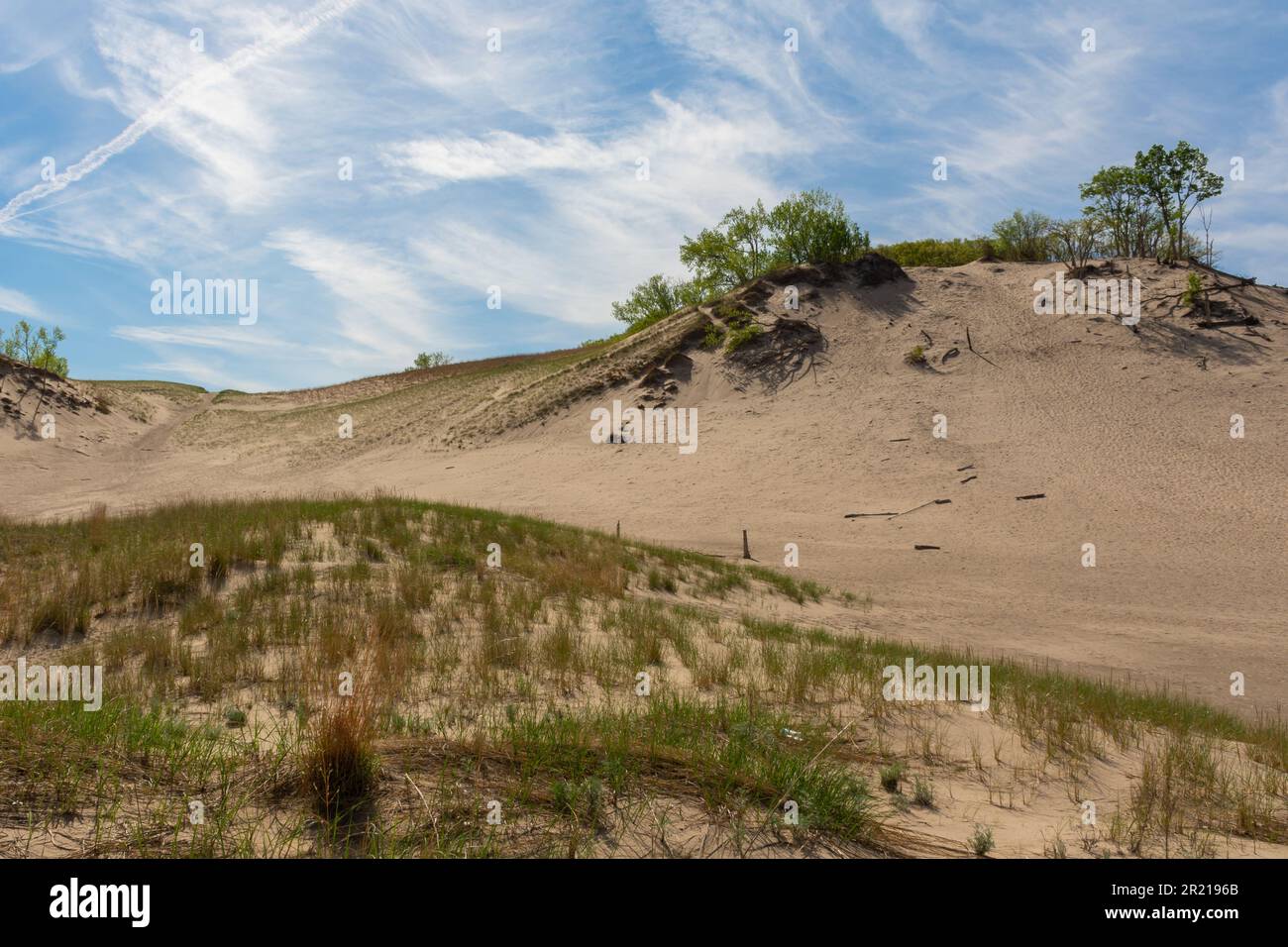 Sand dunes at Warren Dunes state Park, Michigan, USA Stock Photo - Alamy