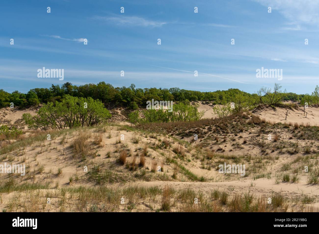 Sand dunes at Warren Dunes state Park, Michigan, USA Stock Photo - Alamy