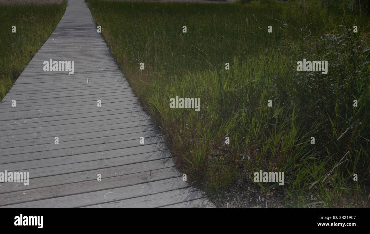 Graphic resource announcement template sign for group service gathering ...