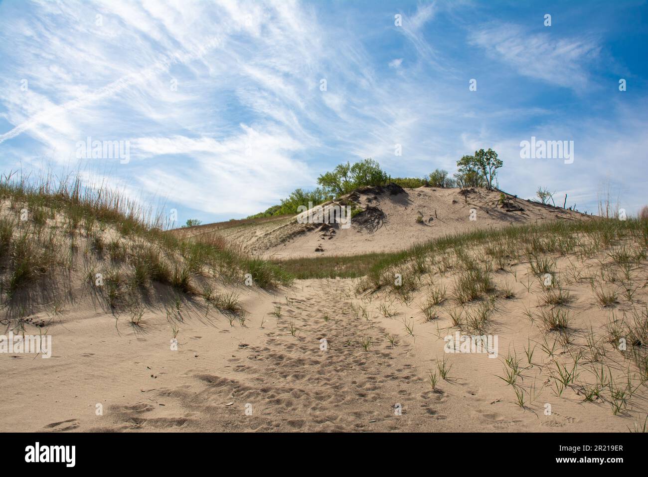 Sand dunes at Warren Dunes state Park, Michigan, USA Stock Photo - Alamy