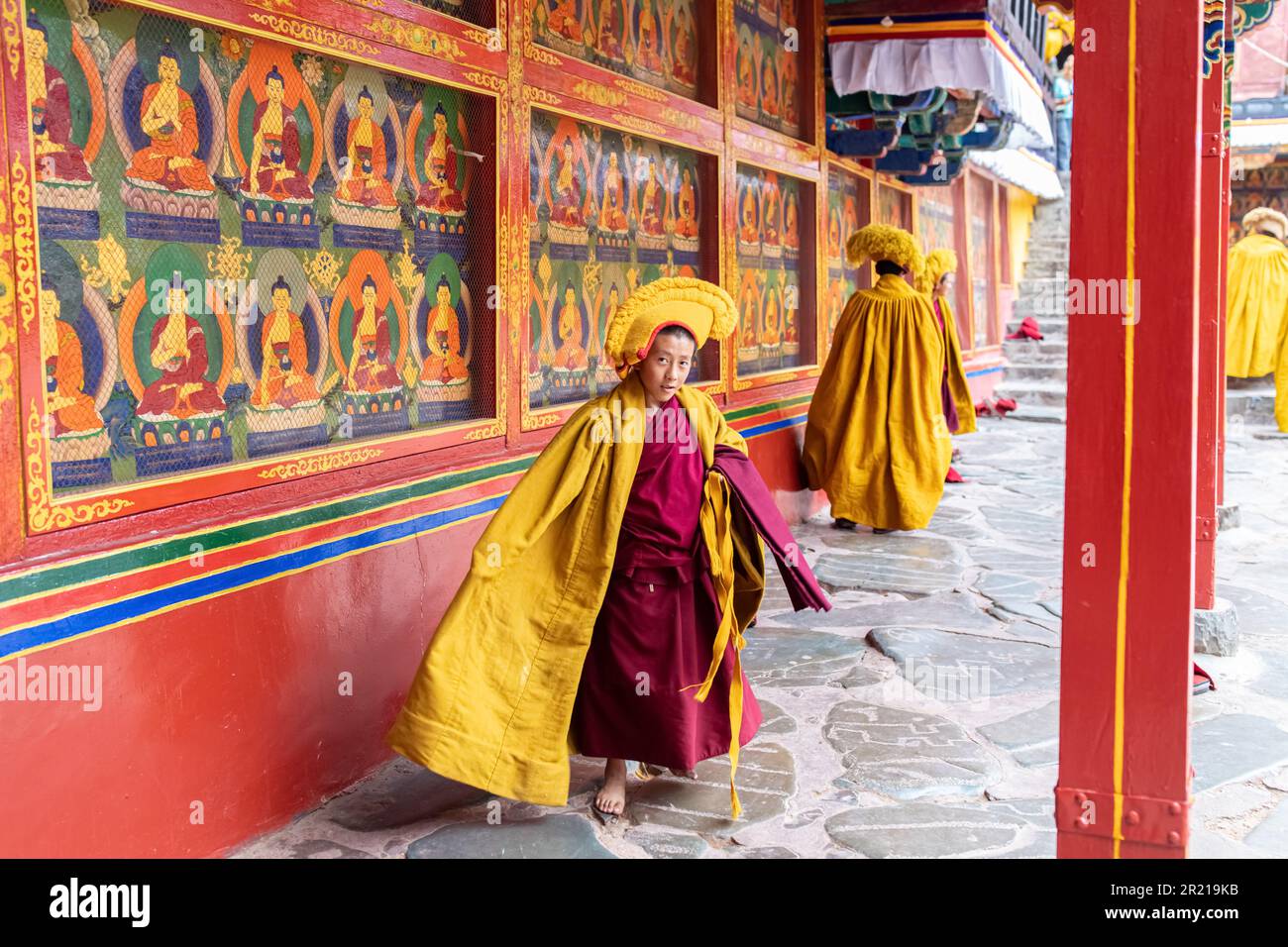 Ancient tibetan architecture symbols hi-res stock photography and ...