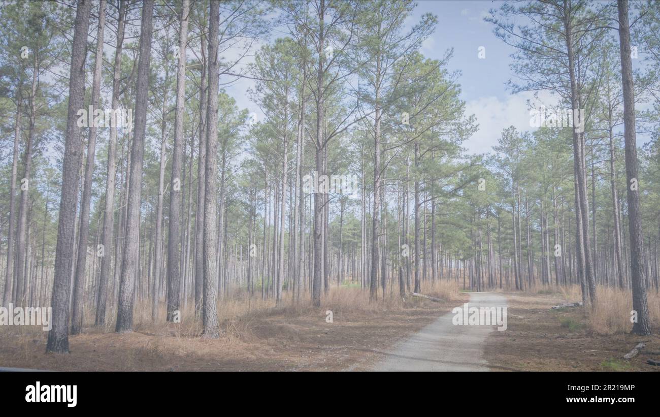 Hallway bridge hi-res stock photography and images - Alamy