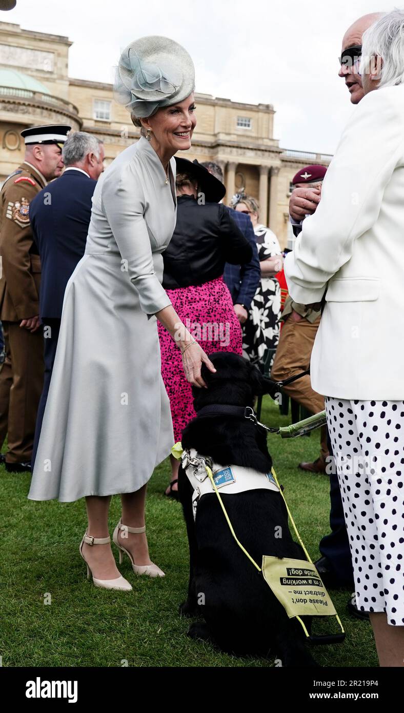 Duchess of edinburgh guide dog hi-res stock photography and images - Alamy