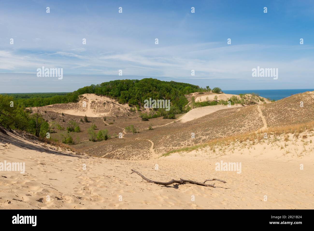 Sand dunes and Spring landscape on a sunny morning. Warren Dunes State ...