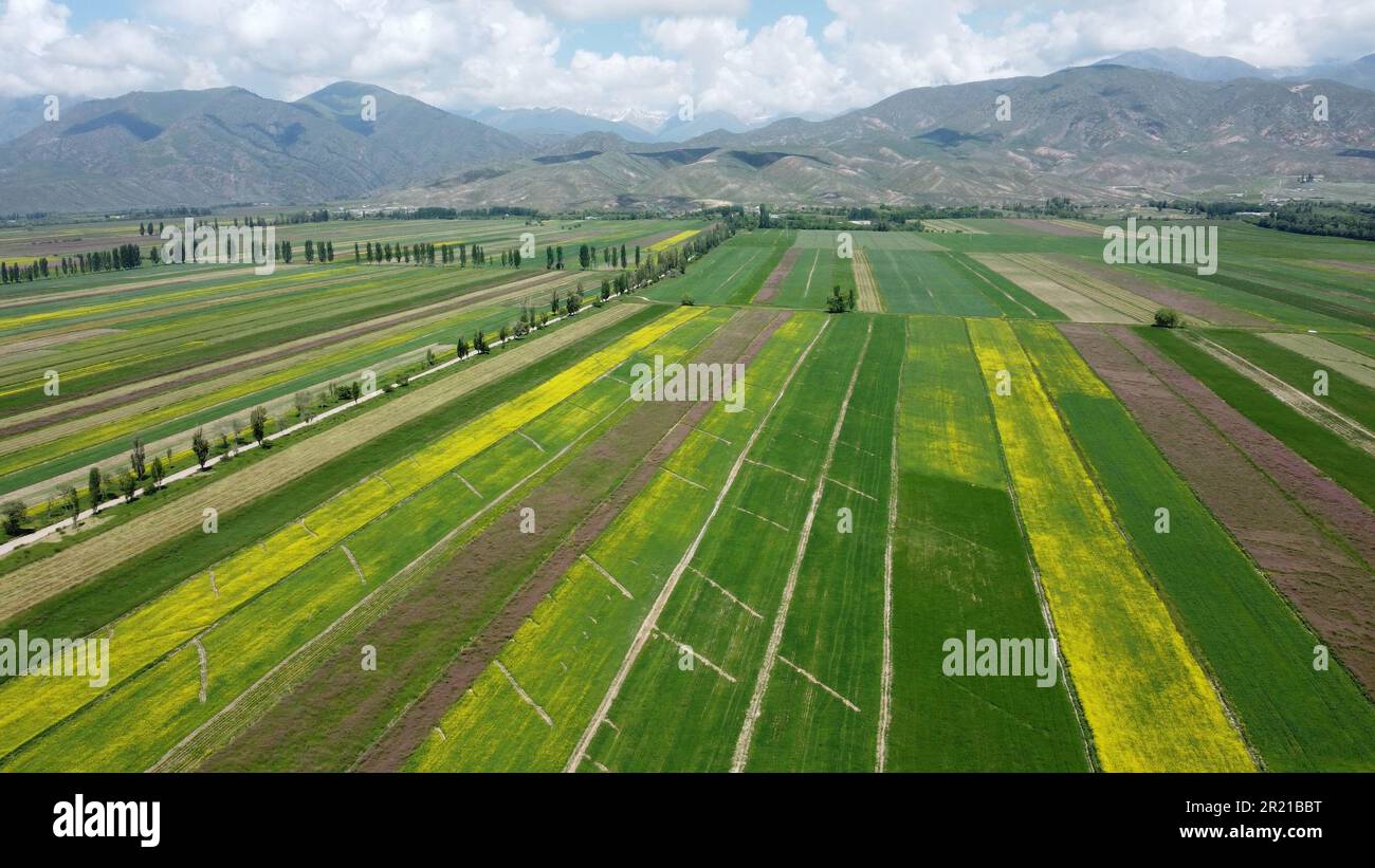 Aerial view of farm fields hi-res stock photography and images - Alamy