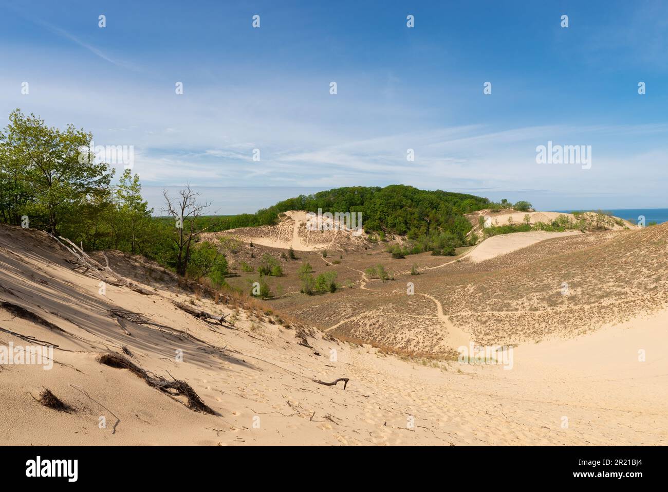 Sand dunes and Spring landscape on a sunny morning. Warren Dunes State ...